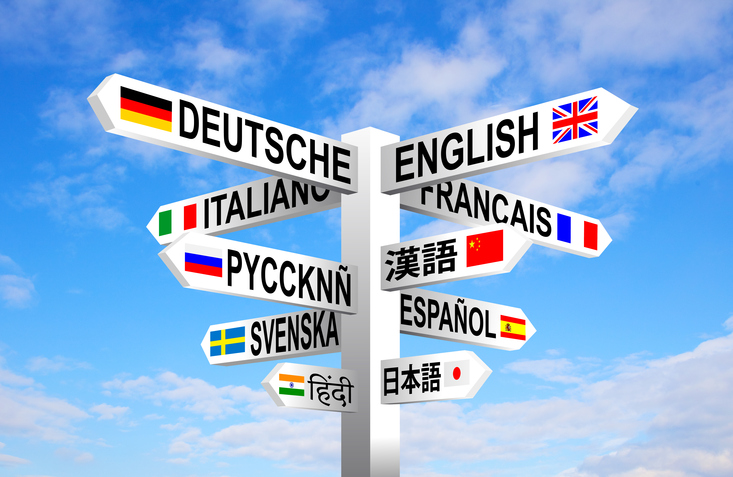 What can you do with a languages degree? | Student